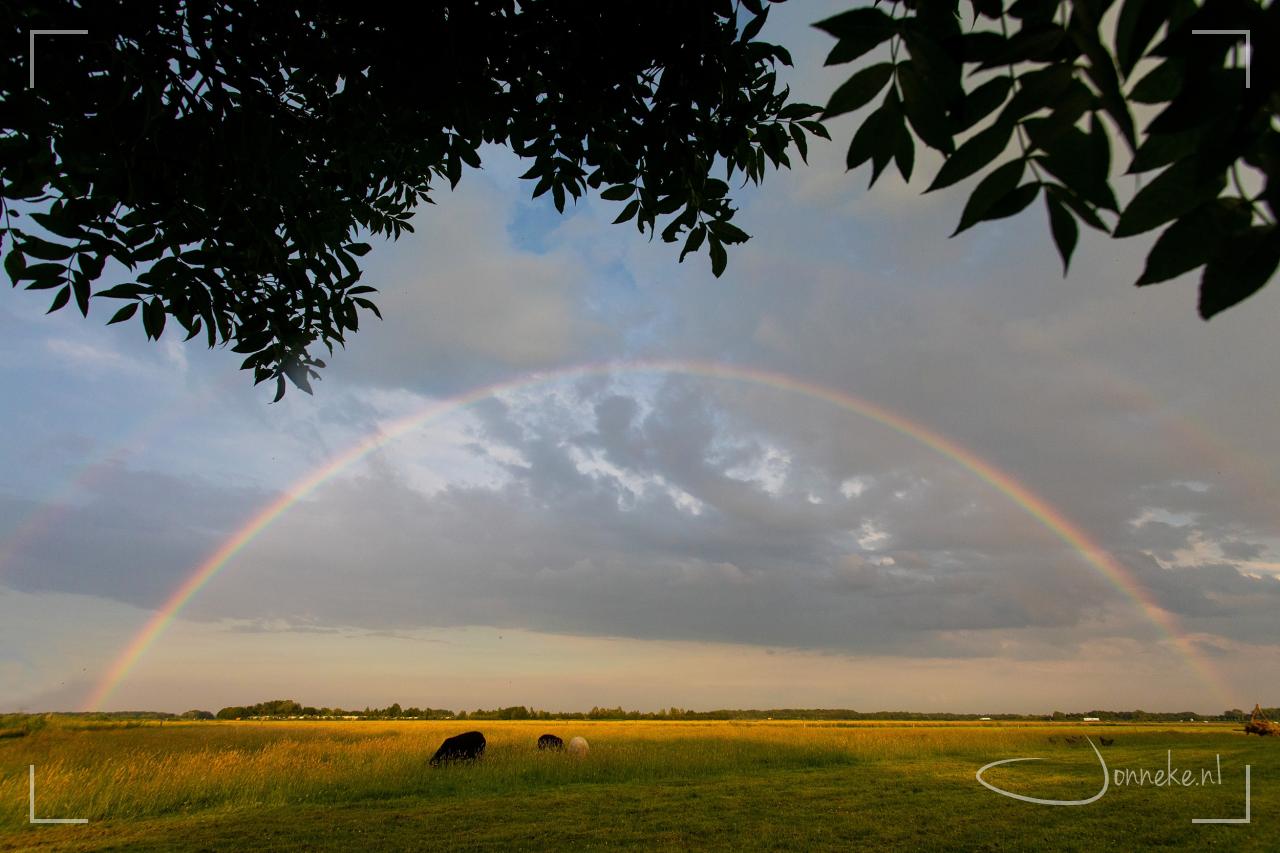 God is trouw!? - Jonneke.nl